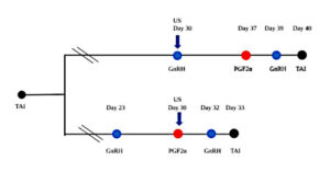 Ovsynch based protocols in reproductive management and infertility ...
